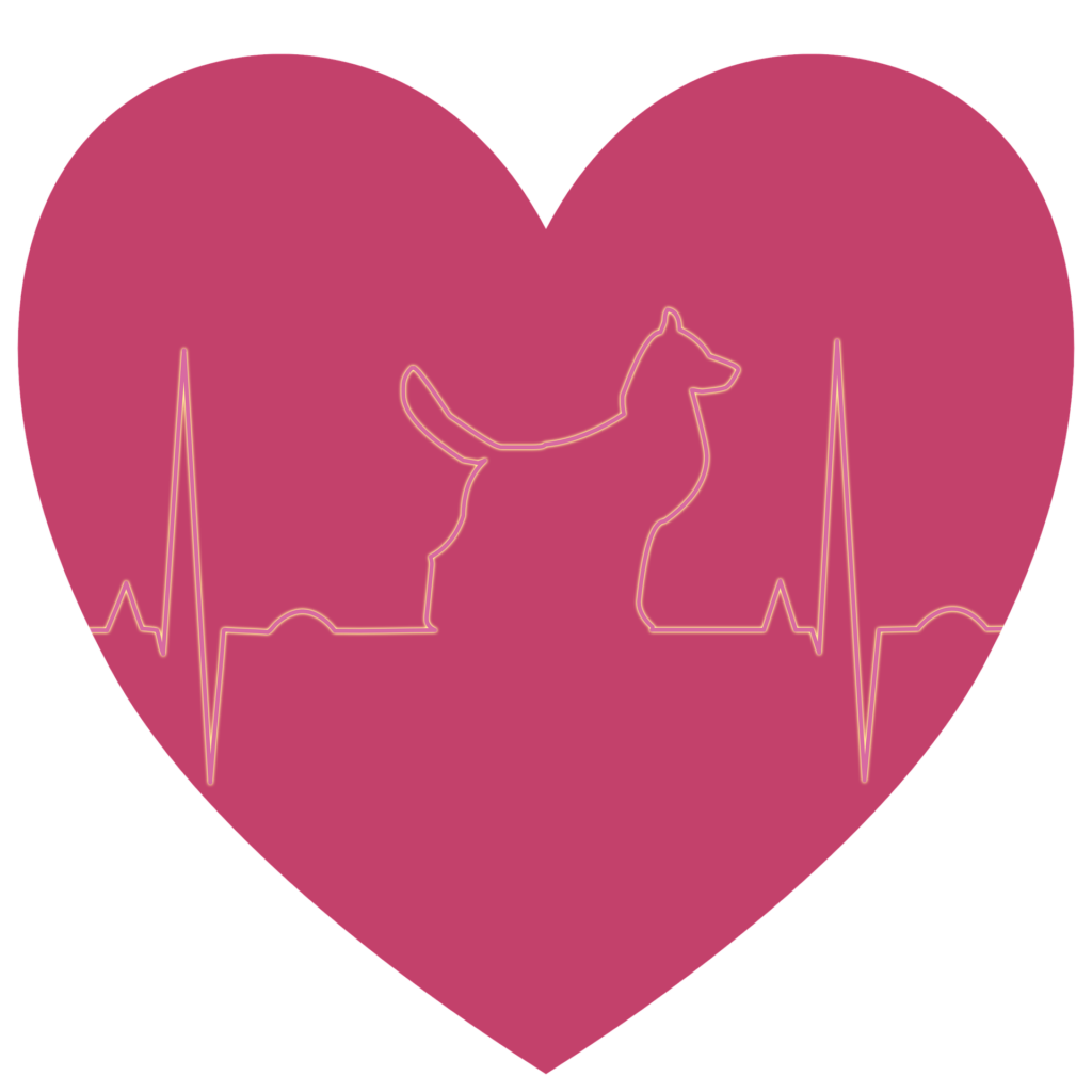 L'échographie cardiaque - Lesvet - Cliniques vétérinaires